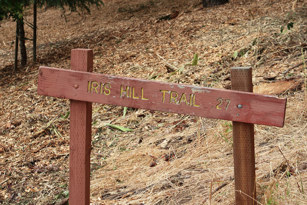 Sign Hill Park Trail – Bay Area Fashionista