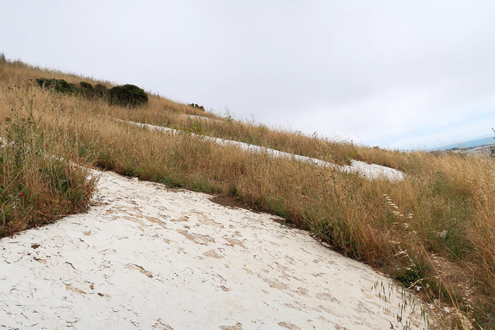 Sign Hill Park Trail – Bay Area Fashionista