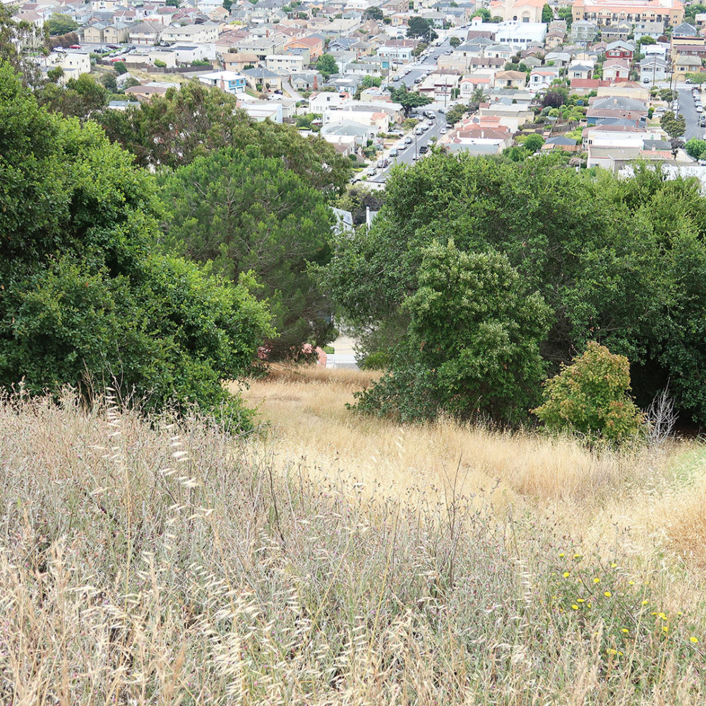 Sign Hill Park Trail – Bay Area Fashionista