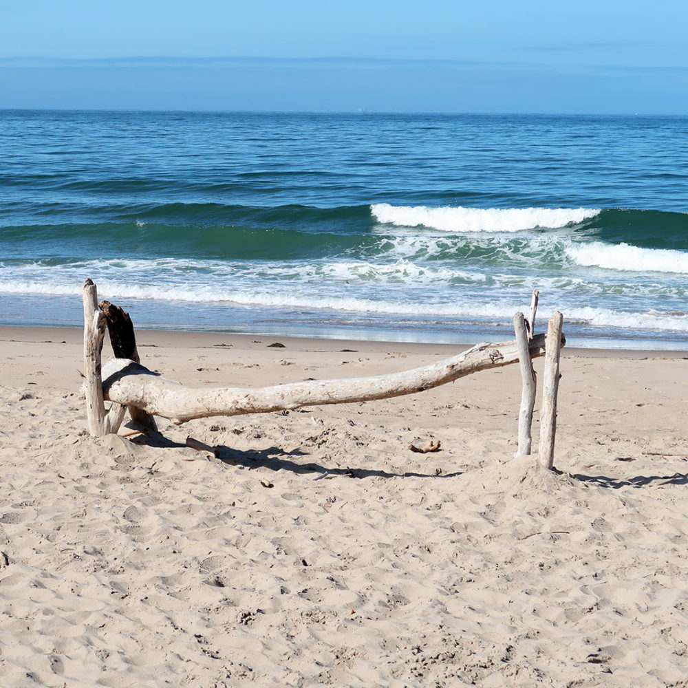 Emma Wood State Beach and hiking trail Ventura – Bay Area Fashionista