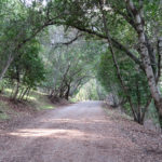 Quicksilver Trail in San Jose – Bay Area Fashionista