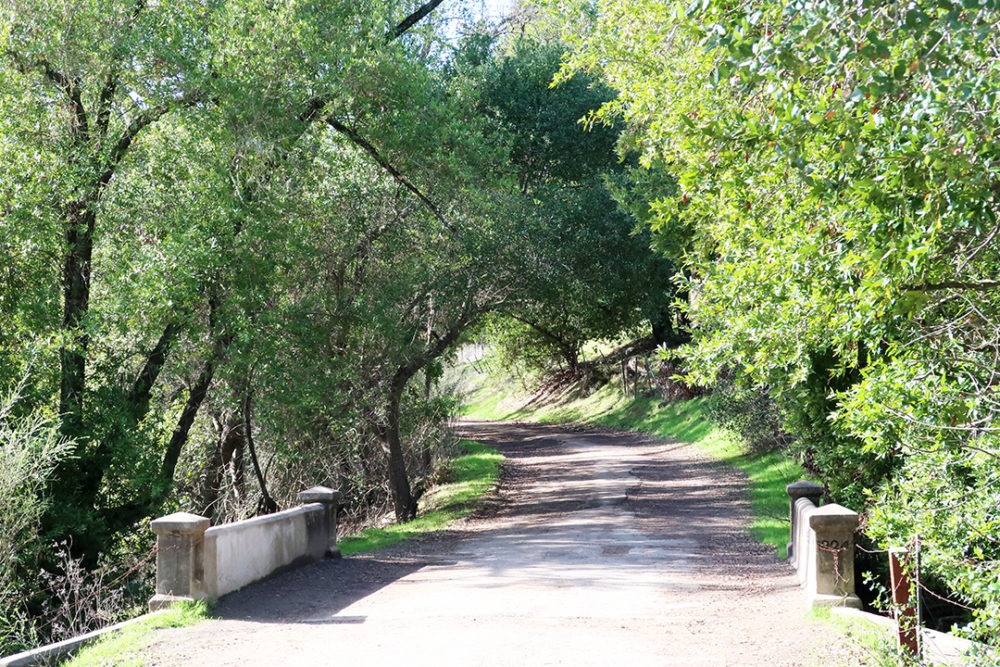 Quicksilver Trail in San Jose – Bay Area Fashionista