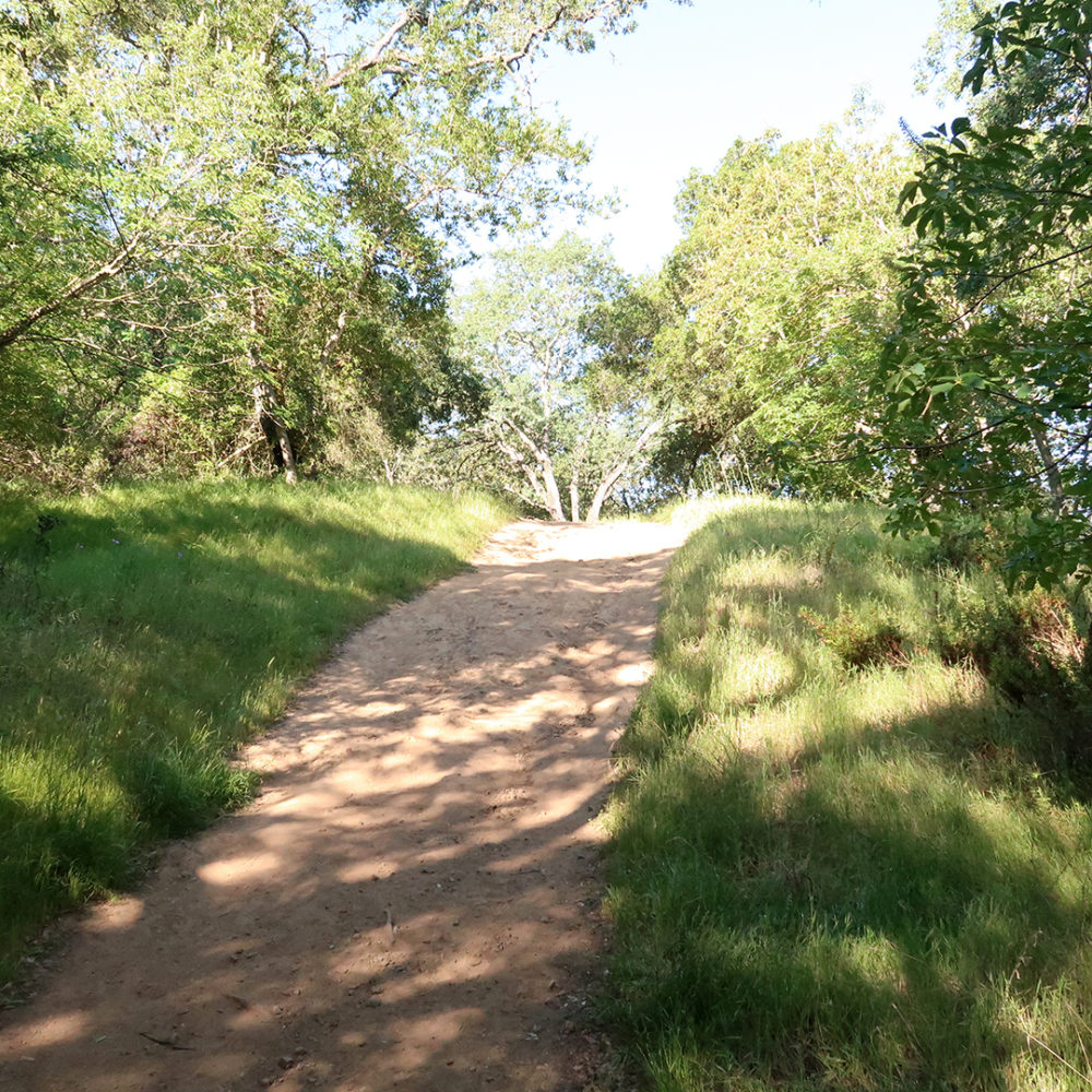 Almaden Quicksilver Park Hacienda Trail – Bay Area Fashionista