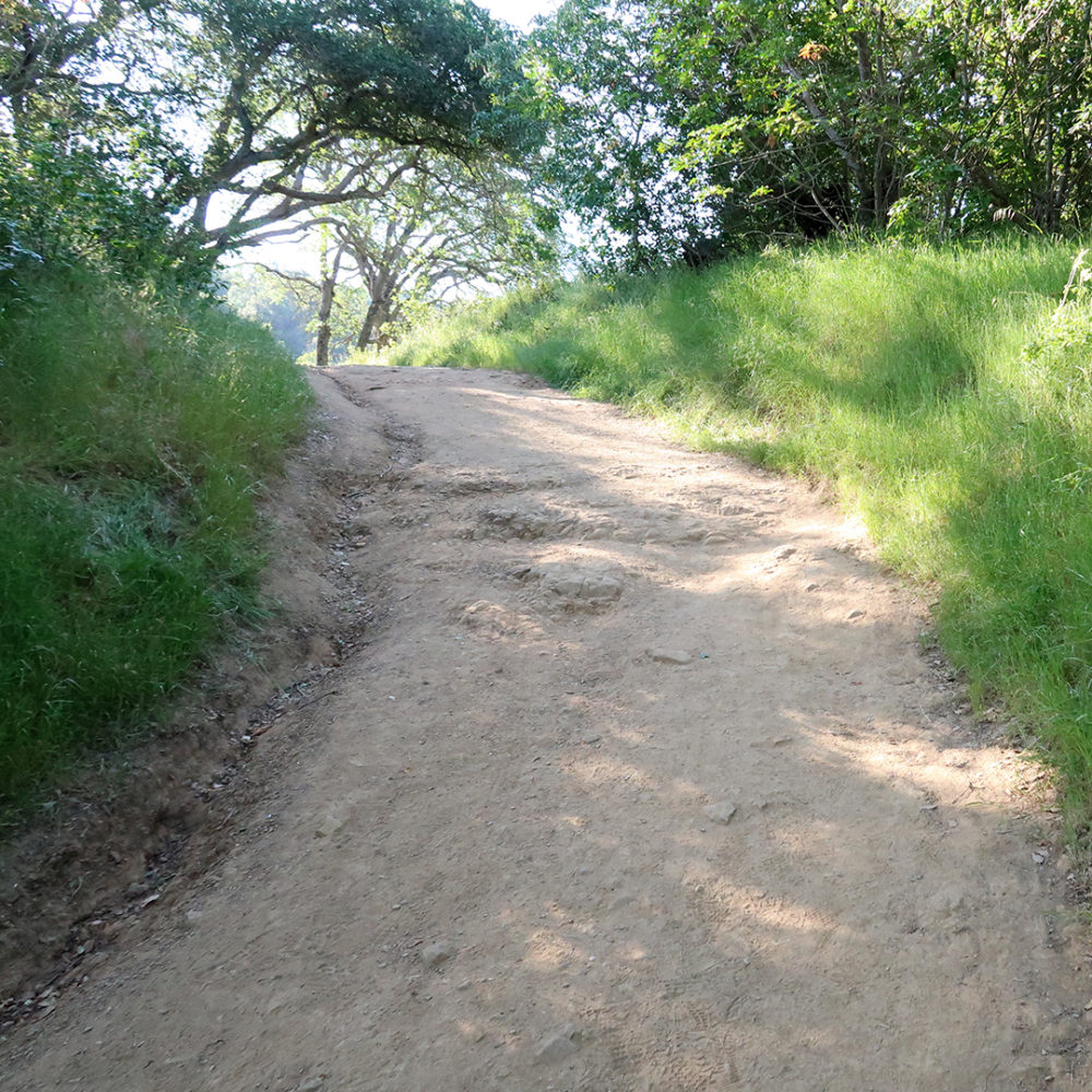 Almaden Quicksilver Park Hacienda Trail – Bay Area Fashionista