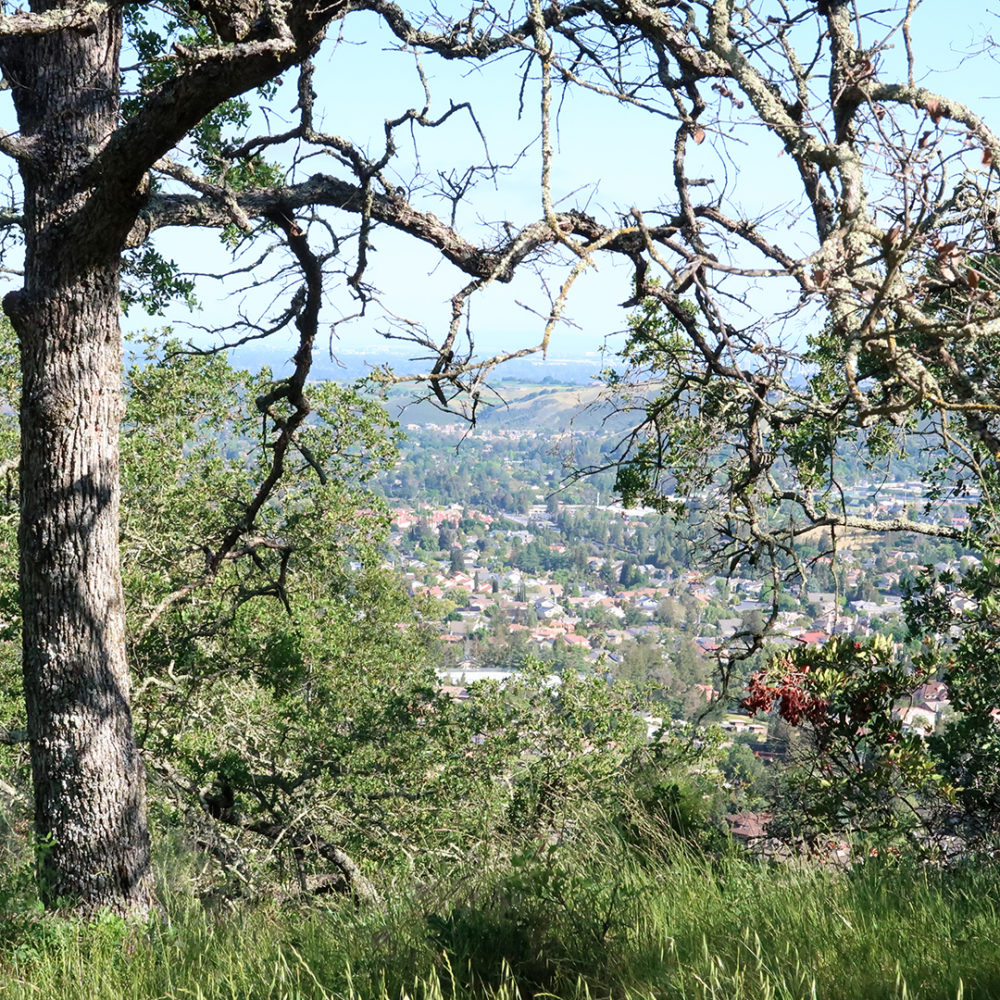 Almaden Quicksilver Park Hacienda Trail – Bay Area Fashionista