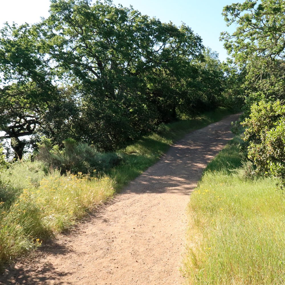 Almaden Quicksilver Park Hacienda Trail – Bay Area Fashionista
