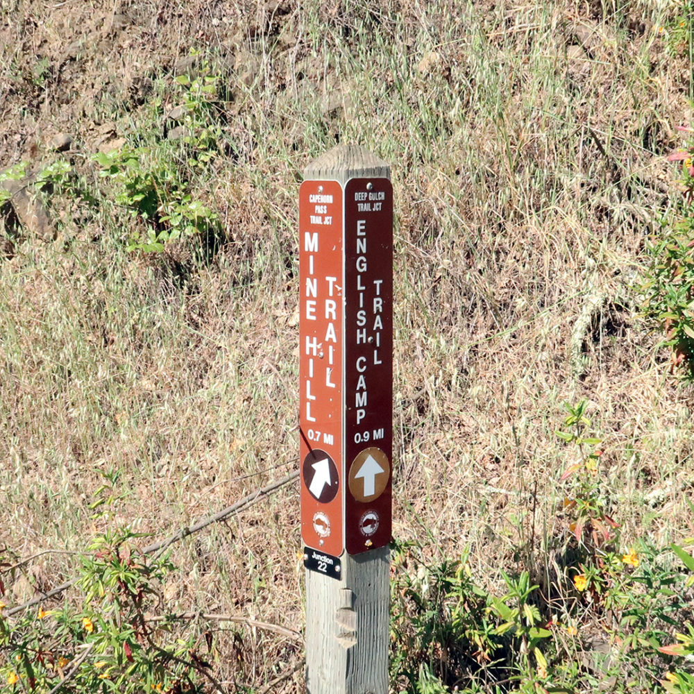 Almaden Quicksilver Park Mine Hill Trail – Bay Area Fashionista