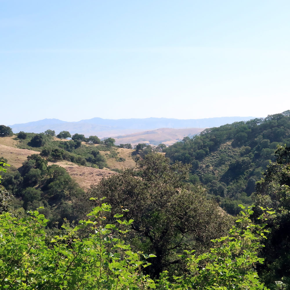 Almaden Quicksilver Park Mine Hill Trail – Bay Area Fashionista