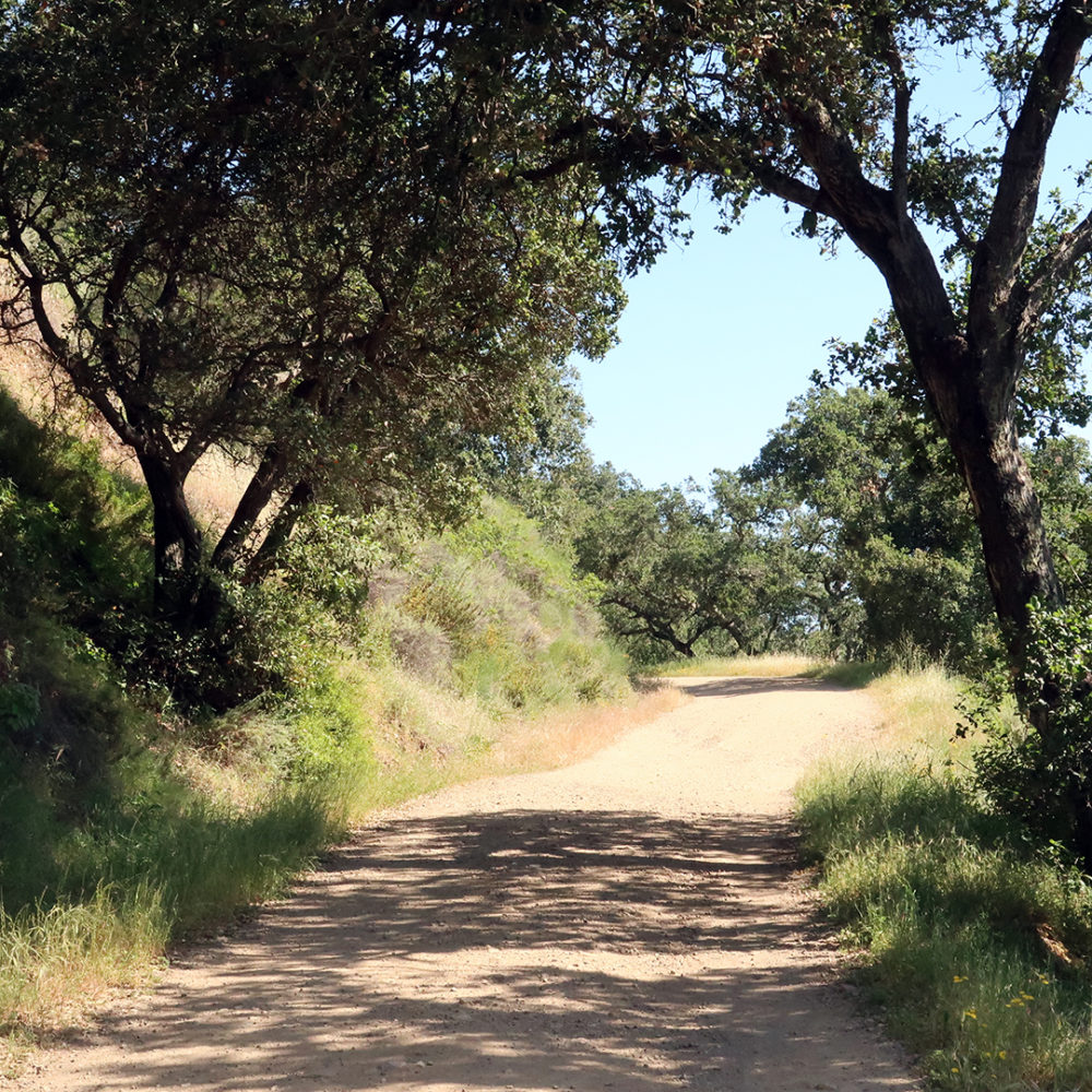 Almaden Quicksilver Park Mine Hill Trail – Bay Area Fashionista
