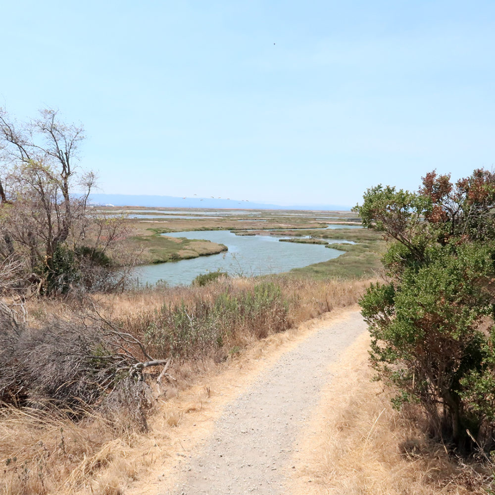 Exploring Drawbridge | a Bay Area ghost town – Bay Area Fashionista