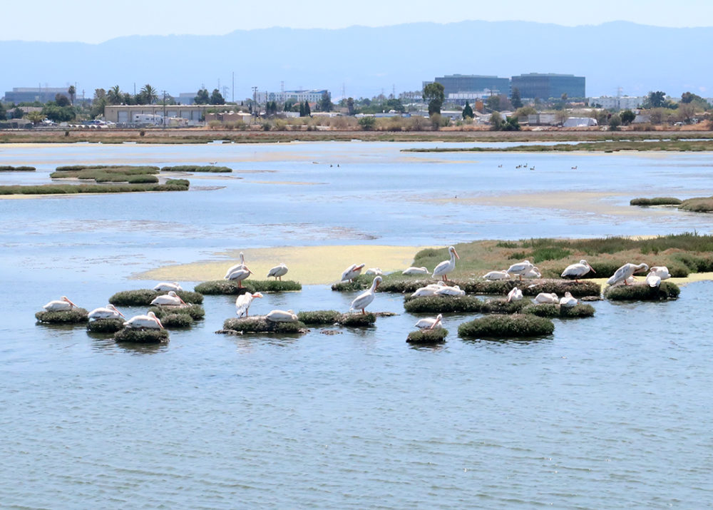 Exploring Drawbridge | a Bay Area ghost town – Bay Area Fashionista