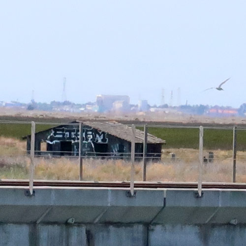 Exploring Drawbridge | a Bay Area ghost town – Bay Area Fashionista