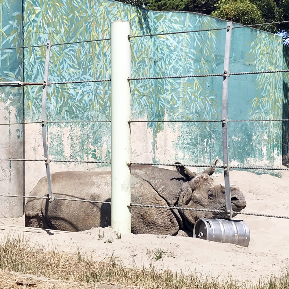 Fun day at the Zoo – Bay Area Fashionista