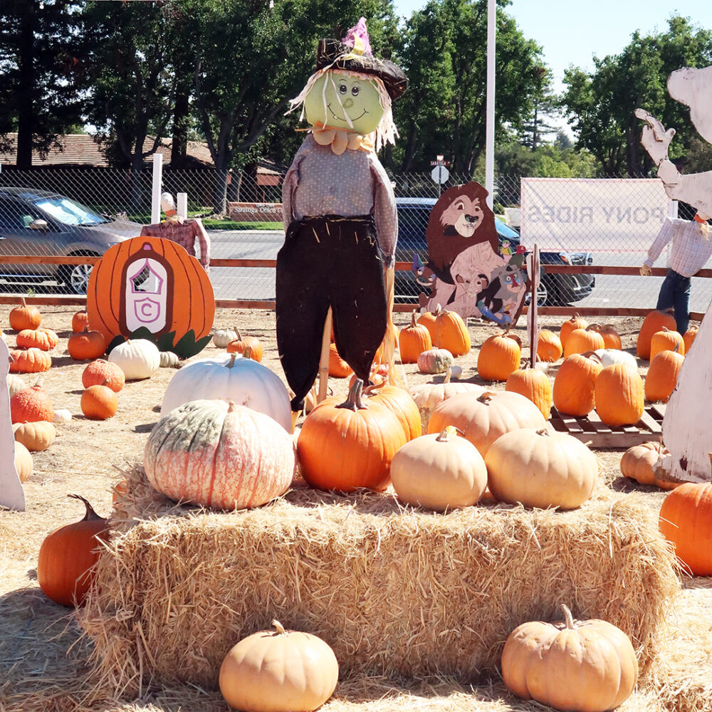 Family day at the Pumpkin Patch – Bay Area Fashionista