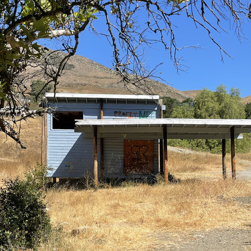 Pismo Beach day 2 – Bay Area Fashionista