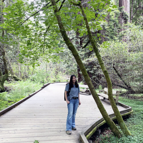 Muir Woods family hike – Bay Area Fashionista